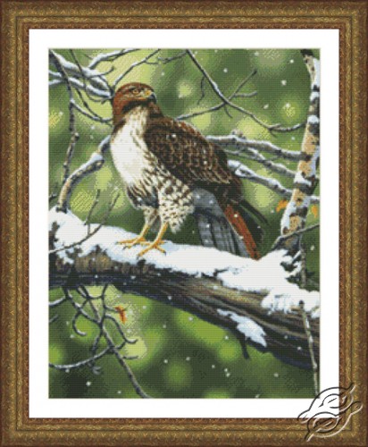 CROSS STITCH PATTERNS - KUSTOM KRAFTS - Animals - Red Tailed Hawk ...